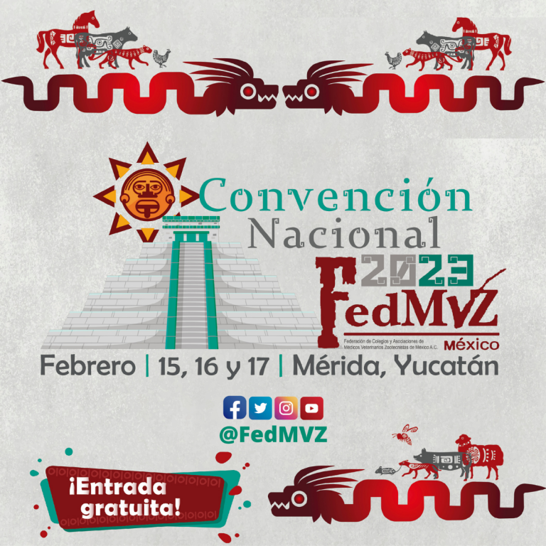 FEDMVZ Mérida 2023 – GalaSoft